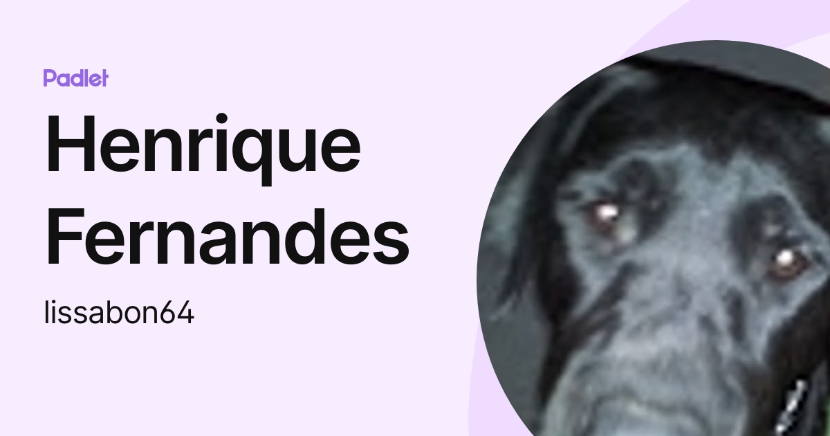 Henrique Fernandes (lissabon64) profile | Padlet