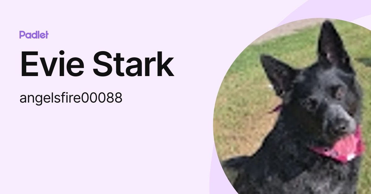 Evie Stark (angelsfire00088) profile | Padlet