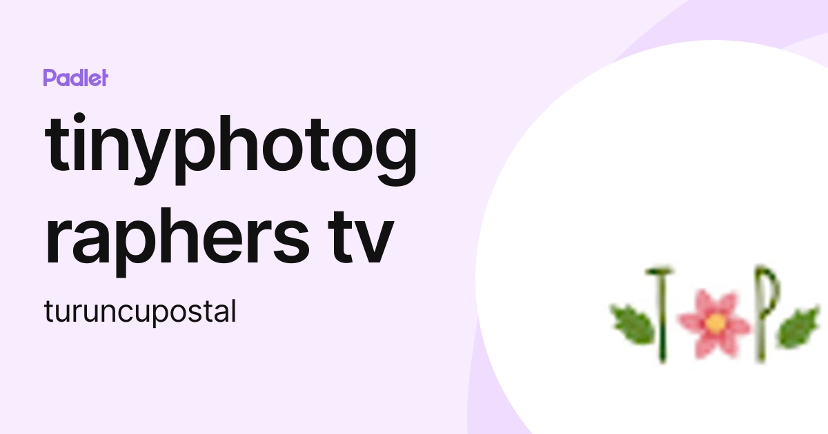 tinyphotographers tv (turuncupostal) profile | Padlet
