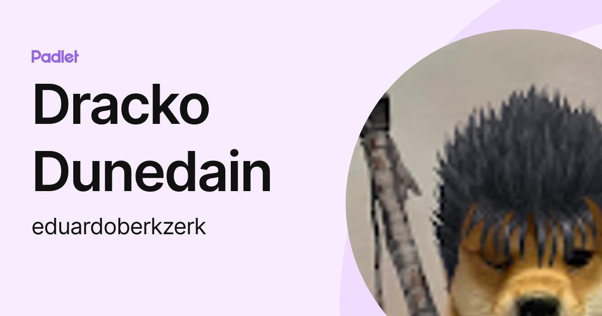 Dracko Dunedain (eduardoberkzerk) profile | Padlet