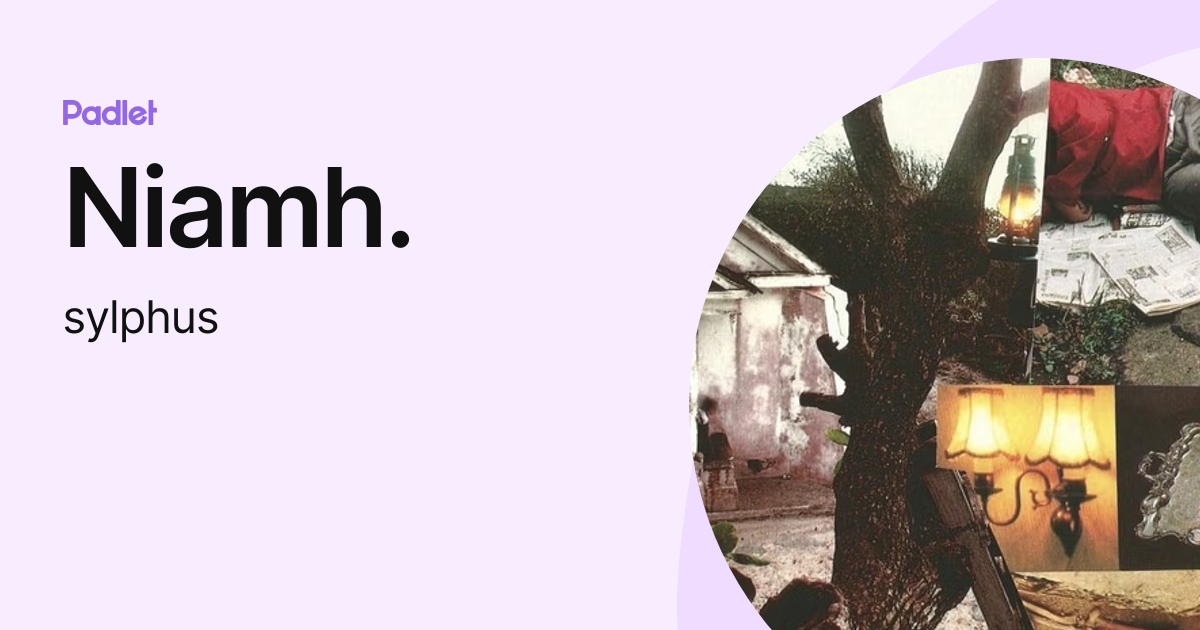 Niamh. (sylphus) profile | Padlet