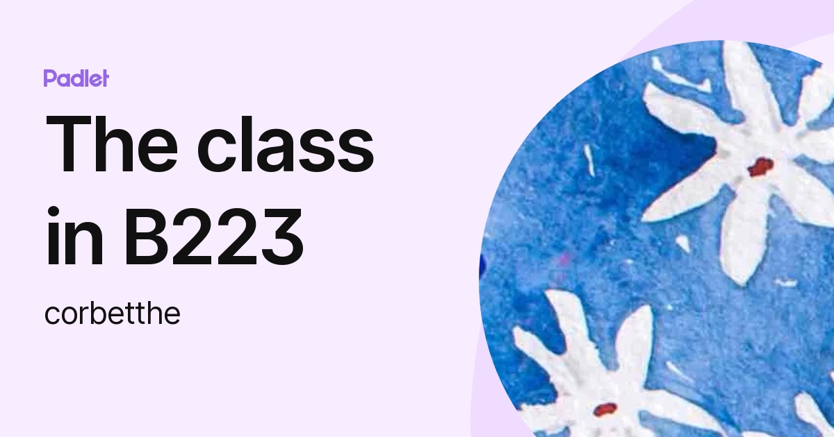 The class in B223 (corbetthe) profile | Padlet