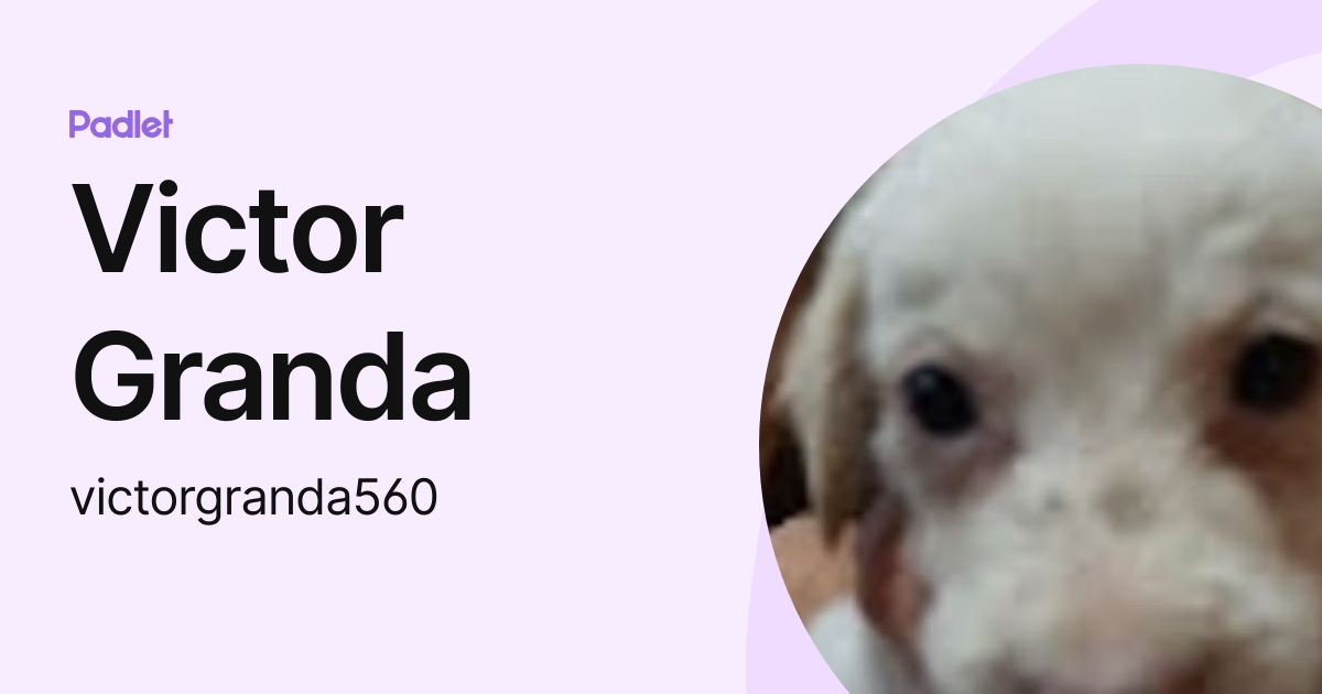 Victor Granda (victorgranda560) profile | Padlet