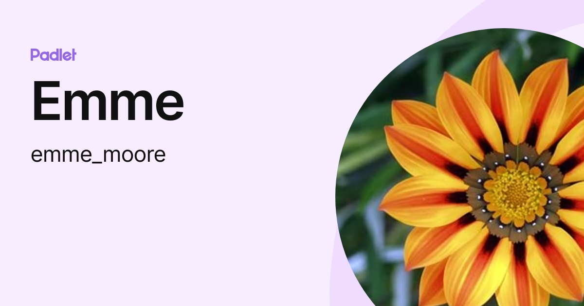 Emme (emme_moore) profile | Padlet