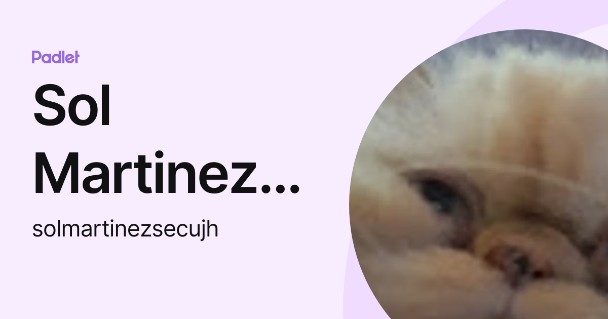 Sol Martinez SecuJH (solmartinezsecujh) profile | Padlet