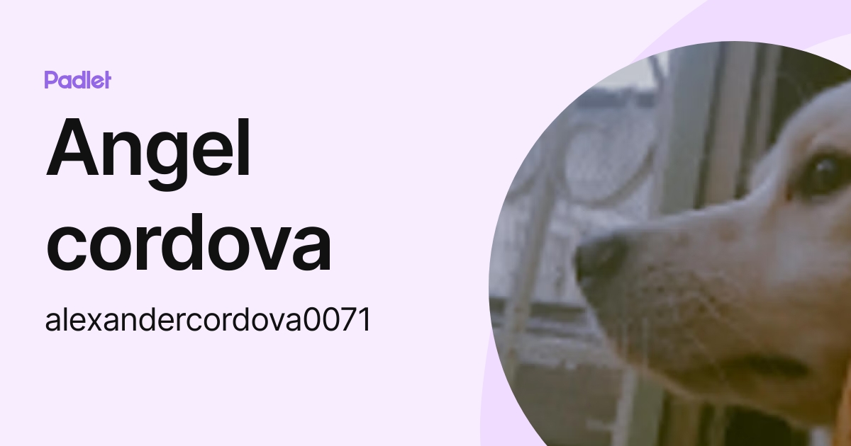 Angel cordova (alexandercordova0071) profile | Padlet