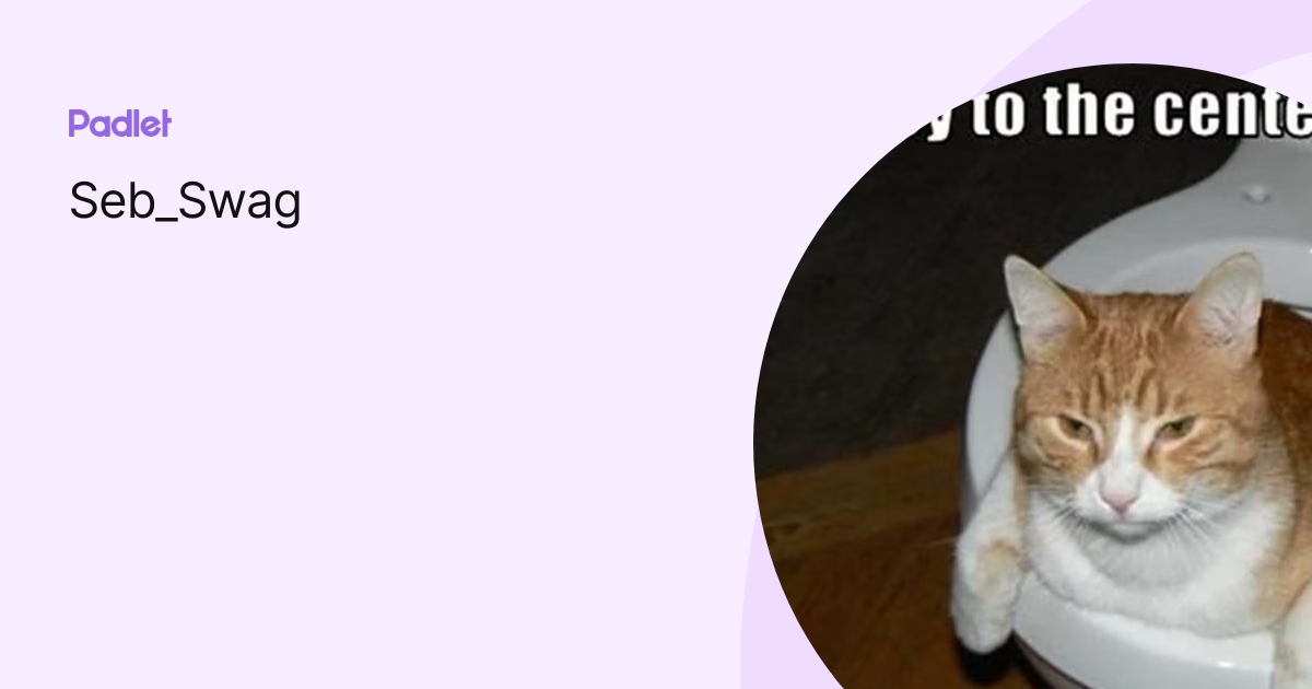 Seb_Swag profile | Padlet