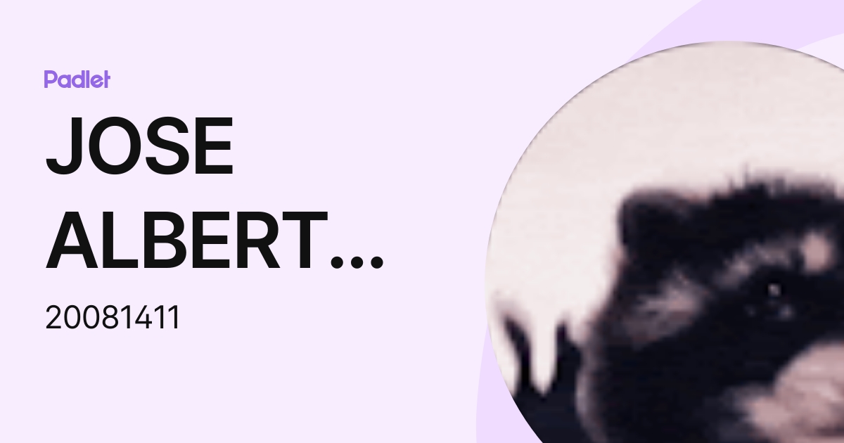 JOSE ALBERTO SANCHEZ CUSI (20081411) profile | Padlet