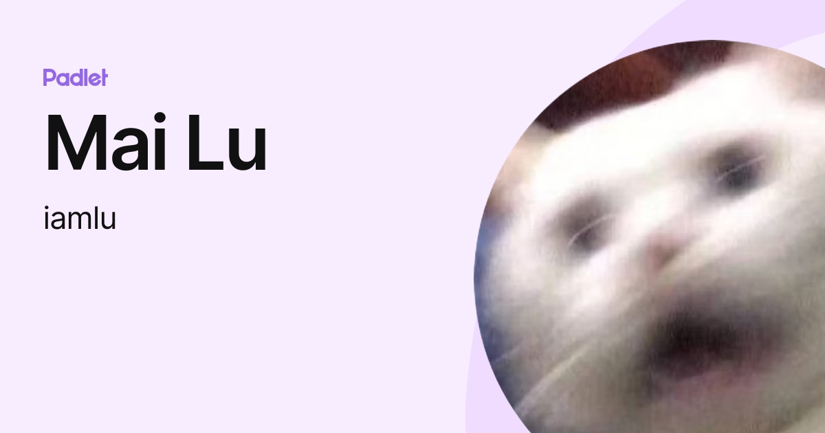 Mai Lu (iamlu) profile | Padlet
