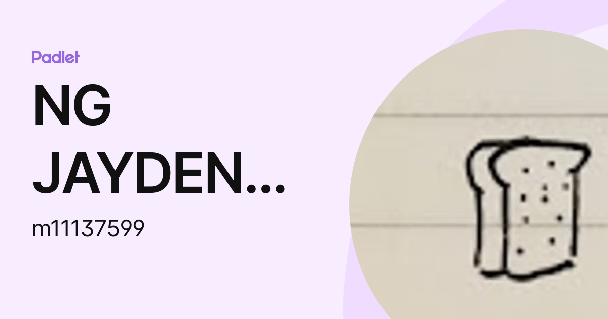 NG JAYDEN Moe (m11137599) profile | Padlet