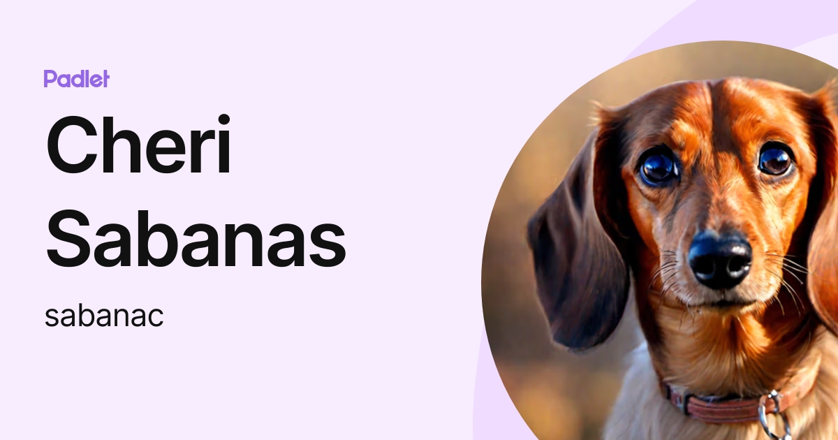 Cheri Sabanas (sabanac) profile | Padlet