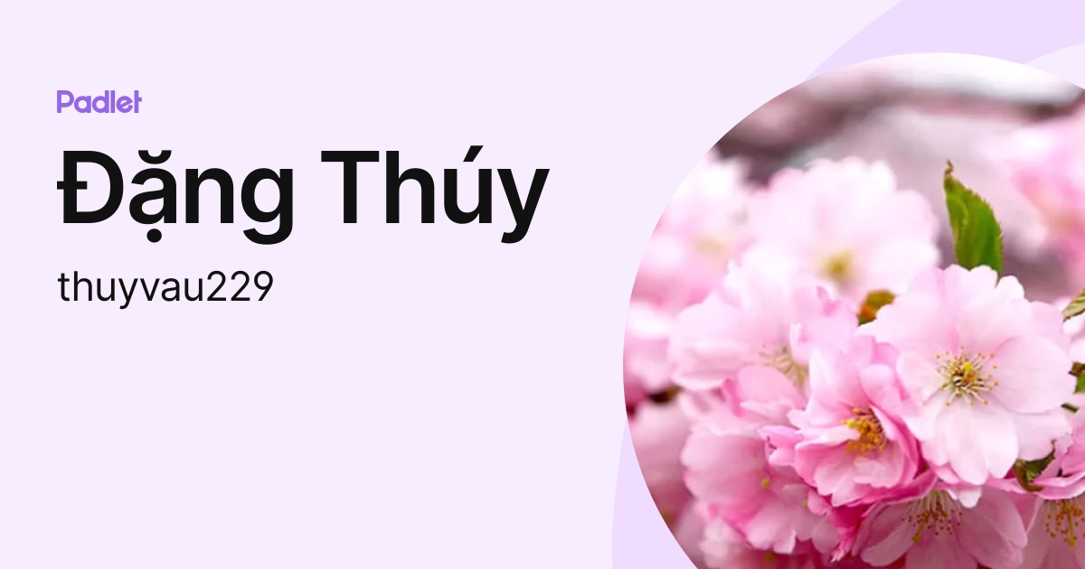 Đặng Thúy (thuyvau229) profile | Padlet