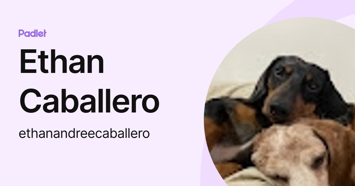 Ethan Caballero (ethanandreecaballero) profile | Padlet