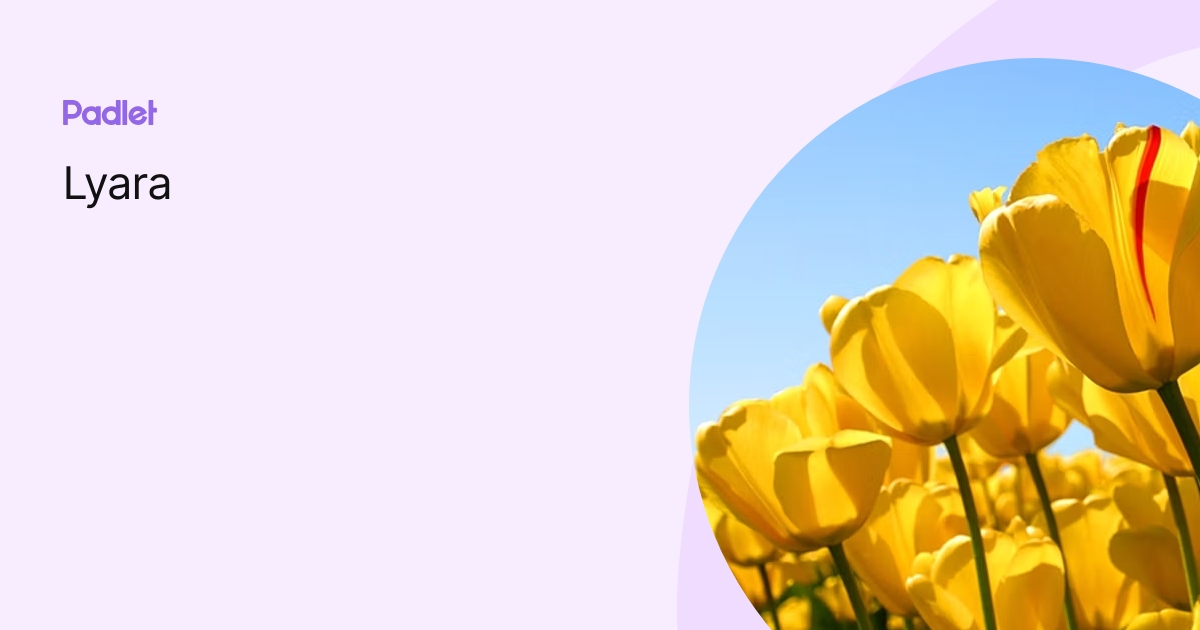 Lyara profile | Padlet