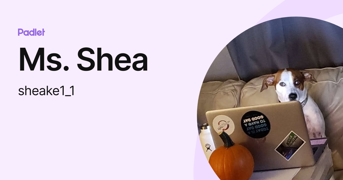 Ms. Shea (sheake) profile | Padlet