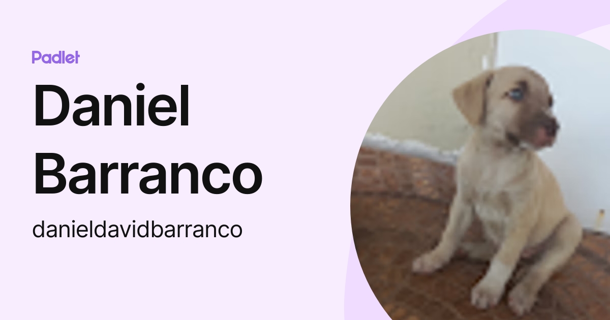 Daniel Barranco (danieldavidbarranco) profile | Padlet