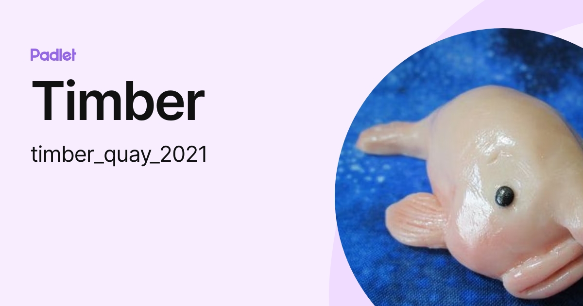 Timber (timber_quay_2021) profile | Padlet