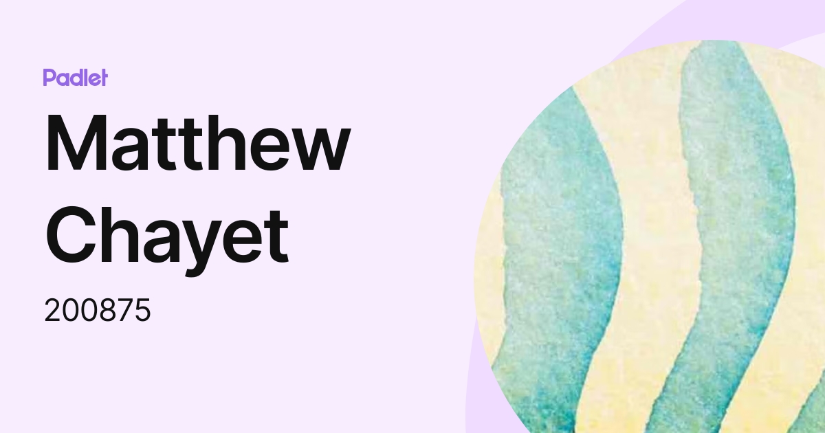 Matthew Chayet (200875) profile | Padlet