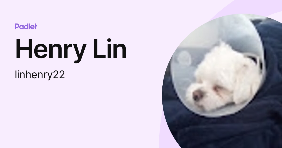 Henry Lin (linhenry22) profile | Padlet