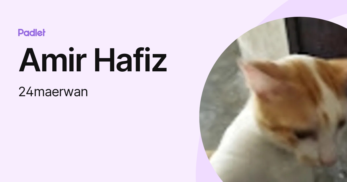 Amir Hafiz (24maerwan) profile | Padlet