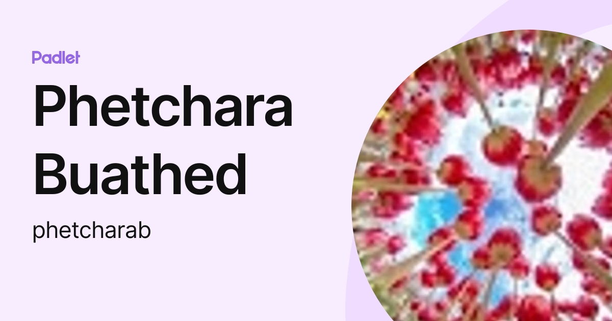 Phetchara Buathed (phetcharab) profile | Padlet