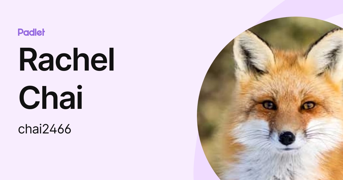 Rachel Chai (chai2466) profile | Padlet
