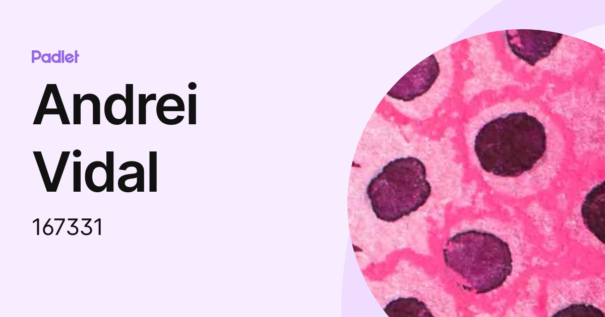 Andrei Vidal (167331) profile | Padlet