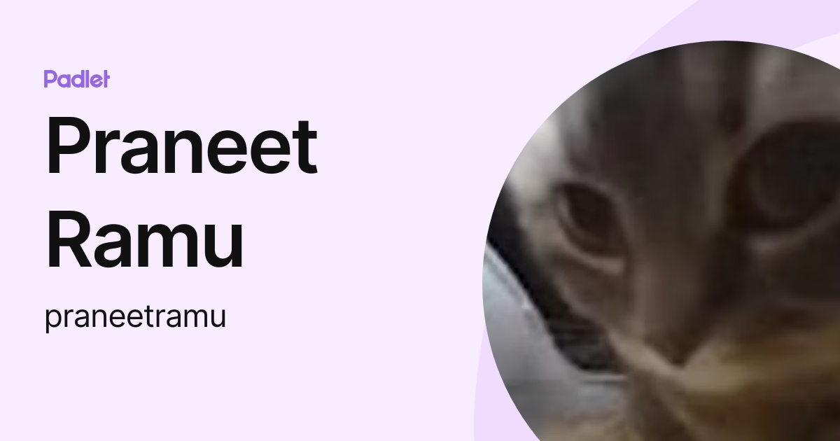 Praneet Ramu (praneetramu) profile | Padlet