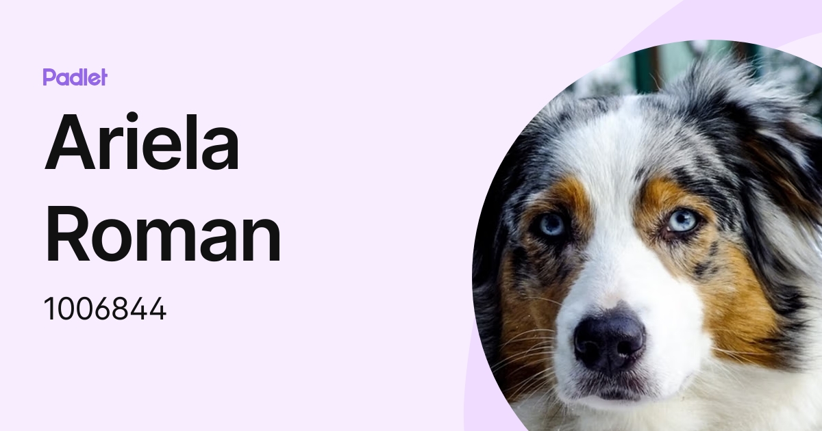 Ariela Roman (1006844) profile | Padlet