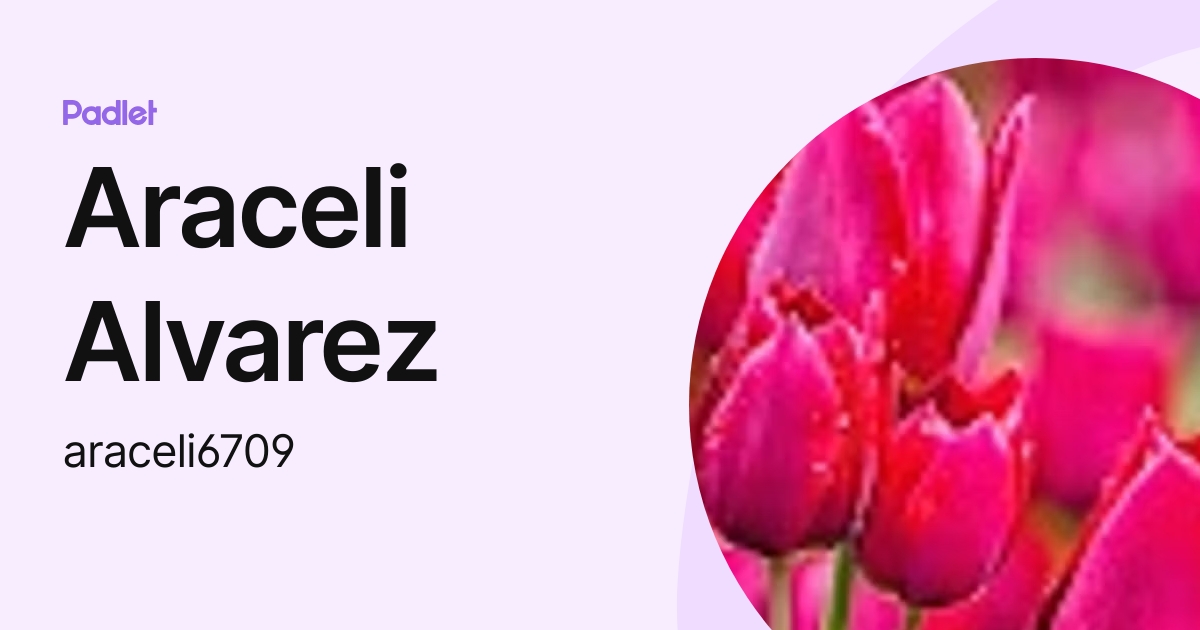 Araceli Alvarez (araceli6709) profile | Padlet