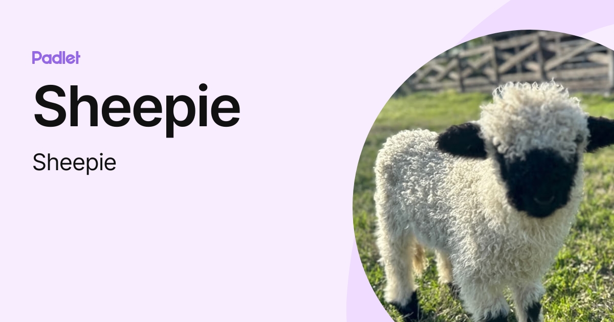 Sheepie (Sheepie) profile | Padlet