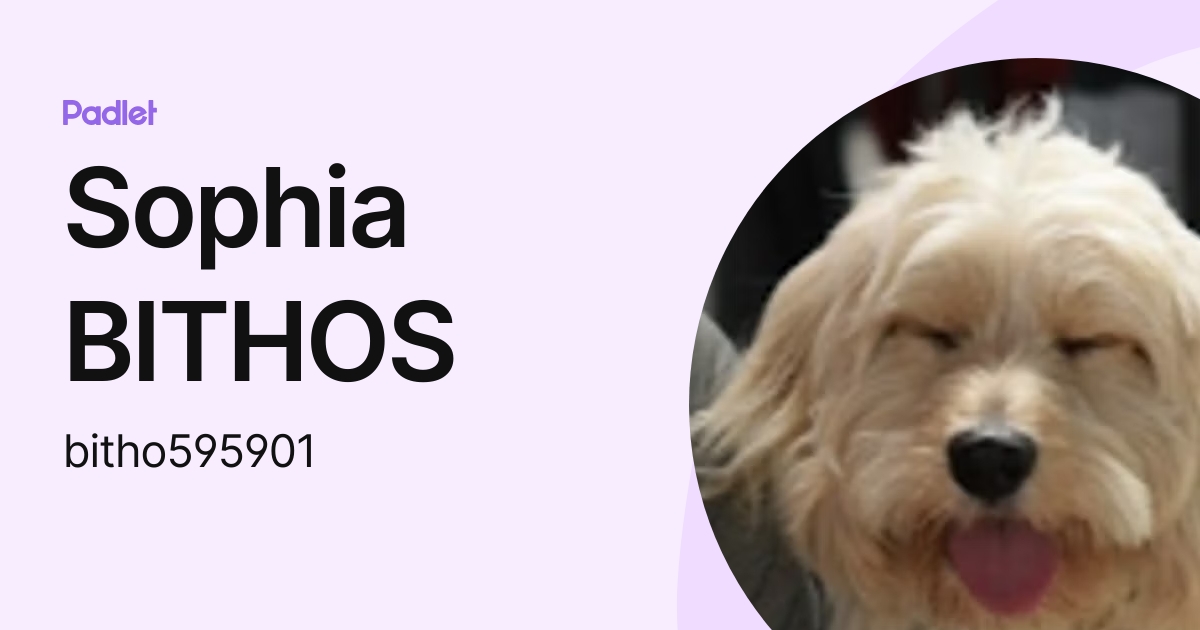 Sophia BITHOS (bitho59590) profile | Padlet