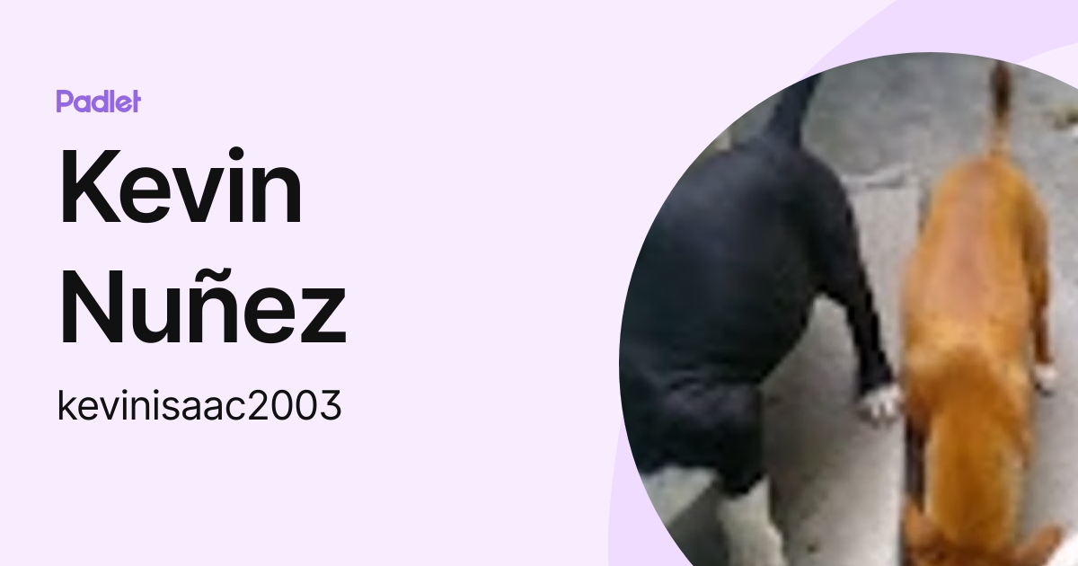 Kevin Nuñez (kevinisaac2003) profile | Padlet