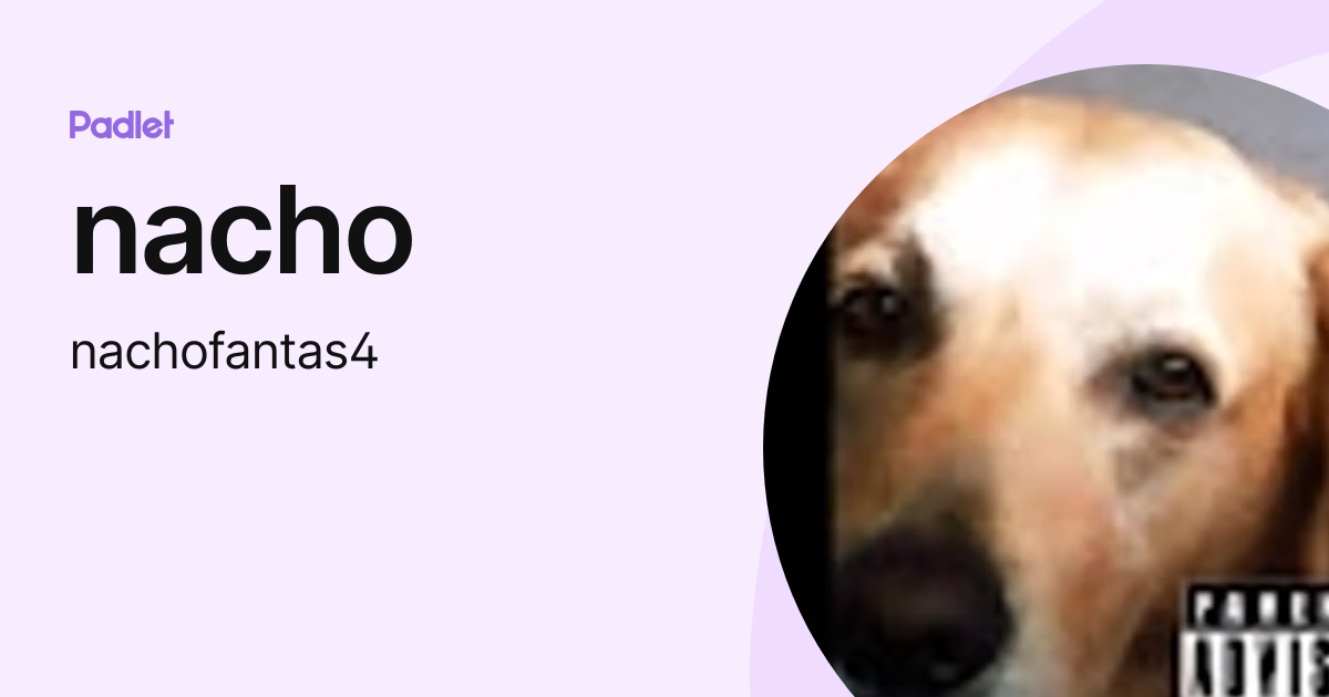 nacho (nachofantas4) profile | Padlet