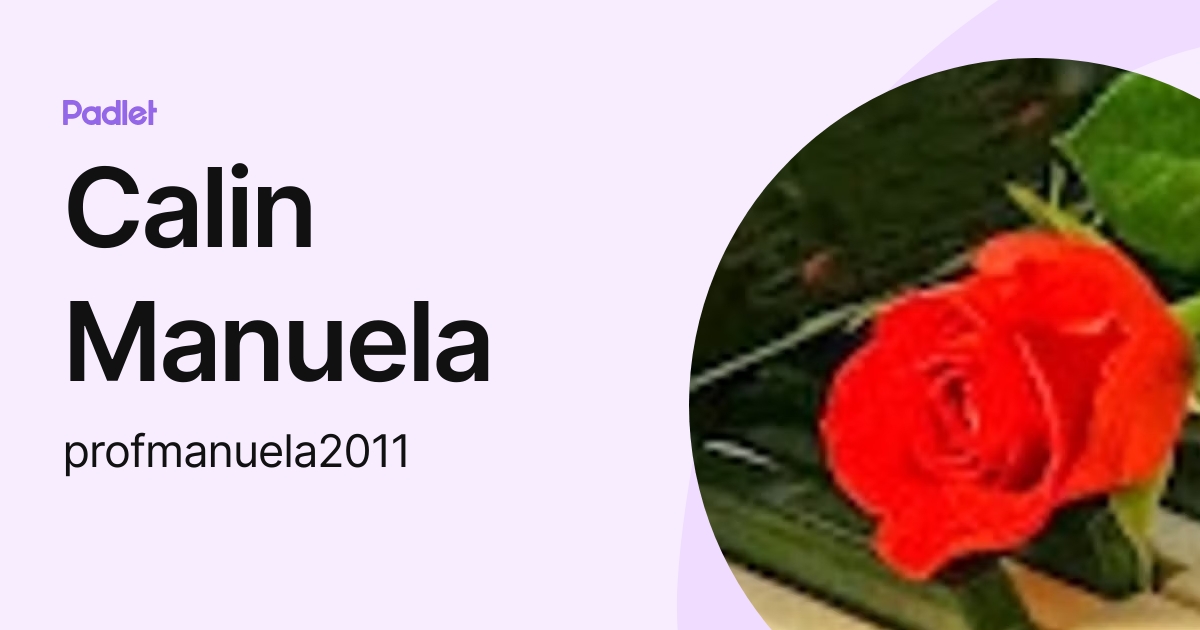 Calin Manuela (profmanuela2011) profile | Padlet