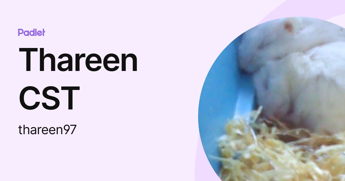 Thareen CST (thareen97) profile | Padlet