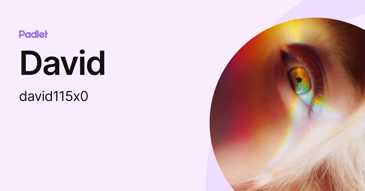 David (david115x0) profile | Padlet