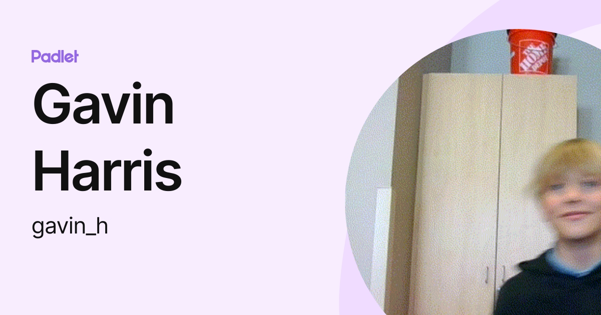 Gavin Harris (gavin_h) profile | Padlet