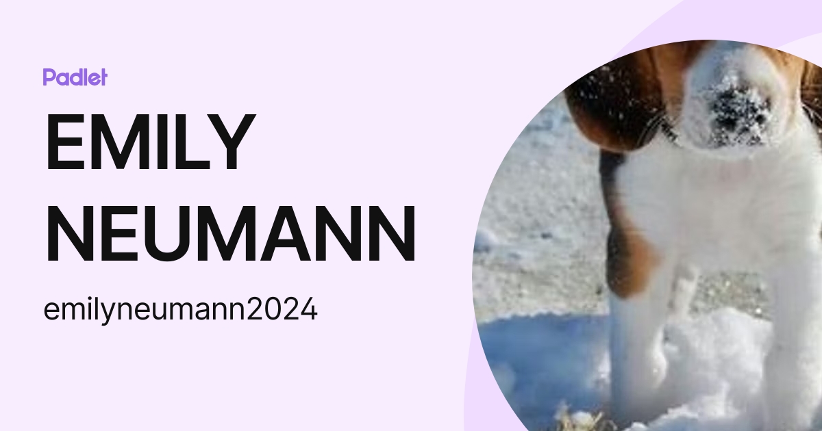 EMILY NEUMANN (emilyneumann2024) profile | Padlet