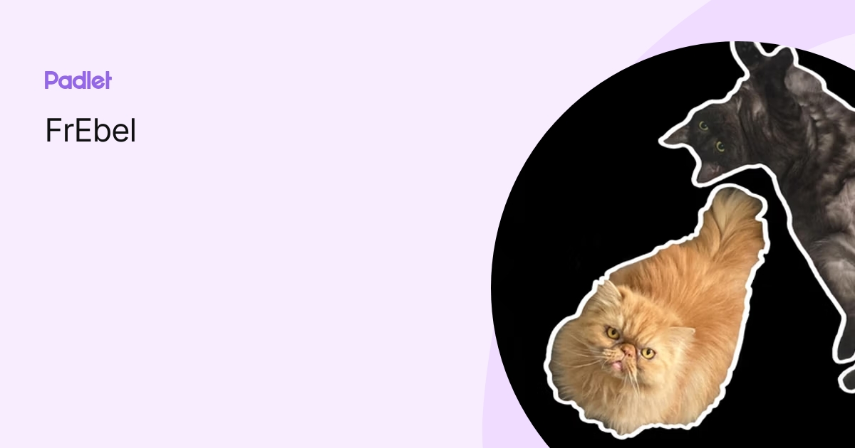 FrEbel profile | Padlet