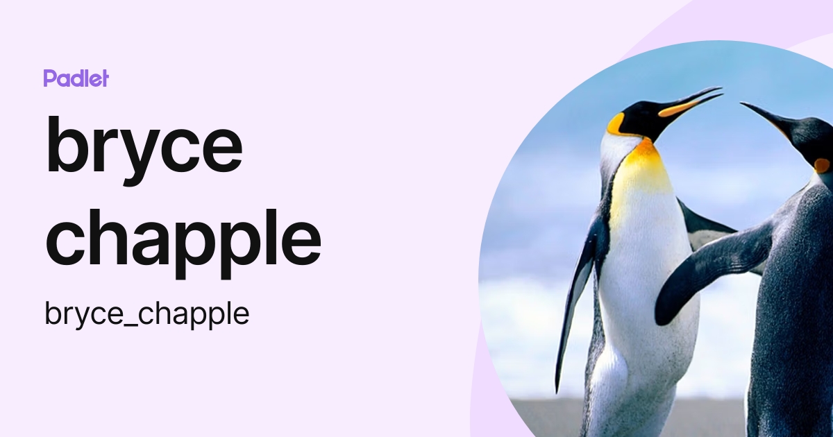 bryce chapple (bryce_chapple) profile | Padlet
