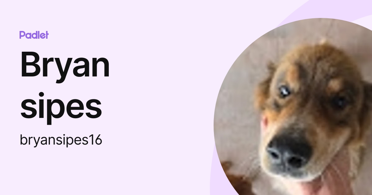 Bryan sipes (bryansipes16) profile | Padlet