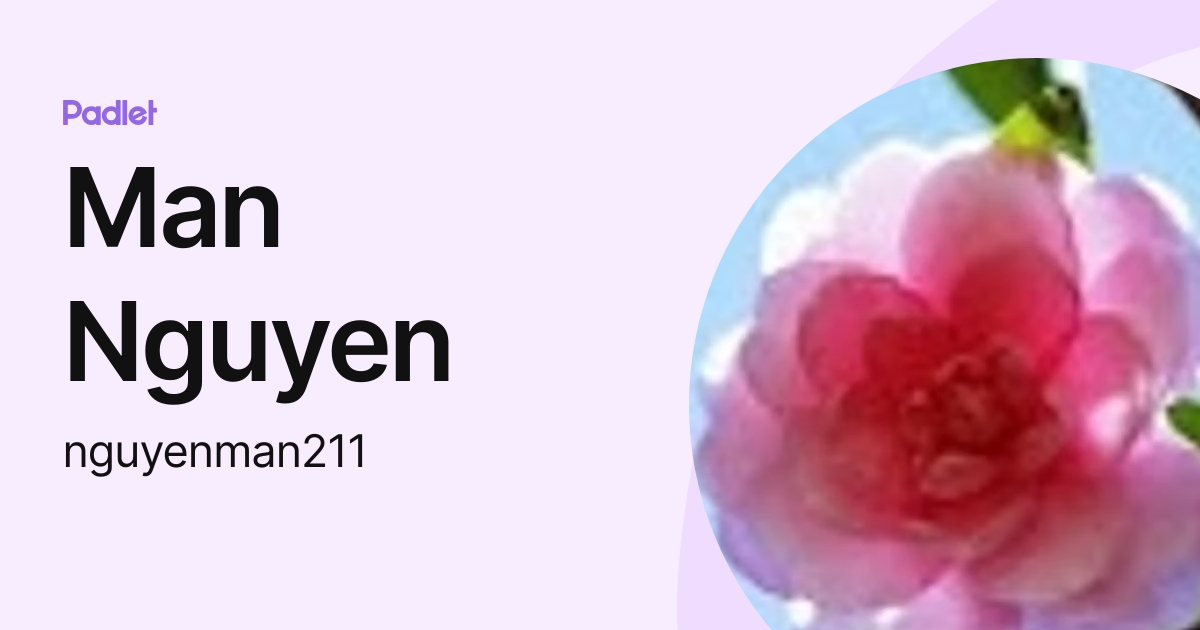 Man Nguyen (nguyenman211) profile | Padlet