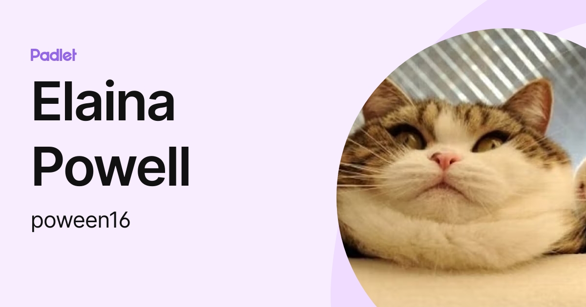 Elaina Powell (poween16) profile | Padlet