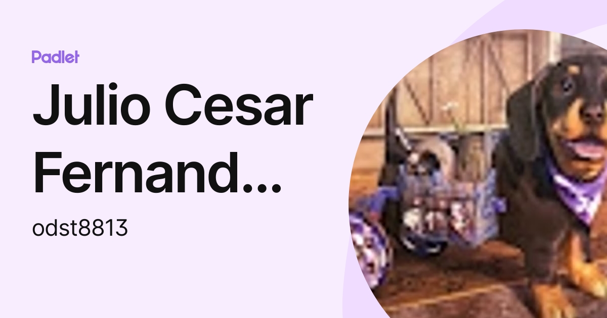 Julio Cesar Fernandez Rojas (odst8813) profile | Padlet