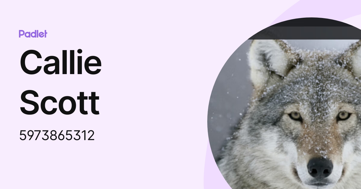 Callie Scott (5973865312) profile | Padlet