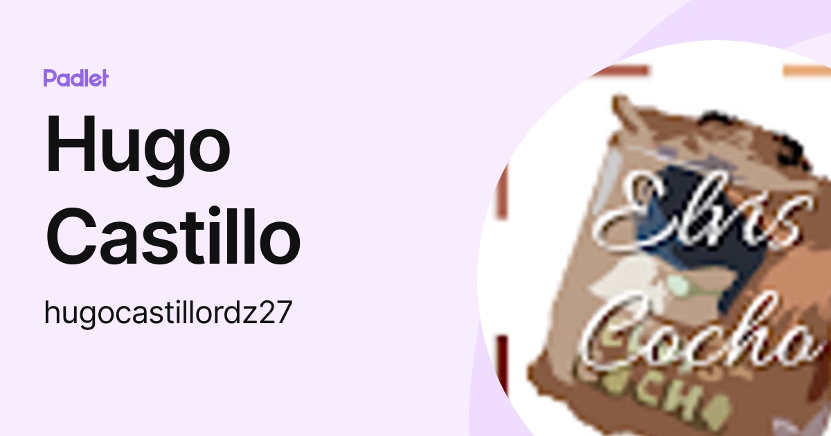 Hugo Castillo (hugocastillordz27) profile | Padlet
