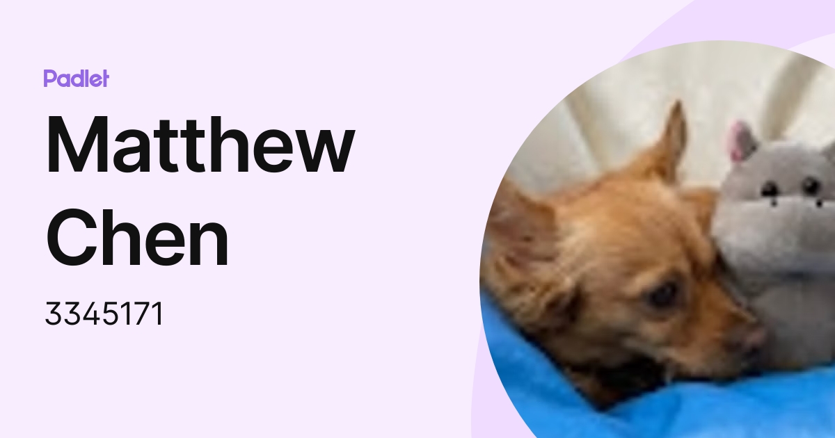 Matthew Chen (3345171) profile | Padlet