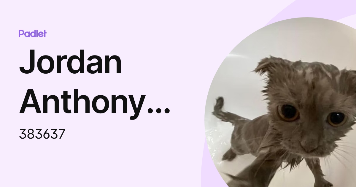 Jordan Anthony-Rodriguez (383637) profile | Padlet