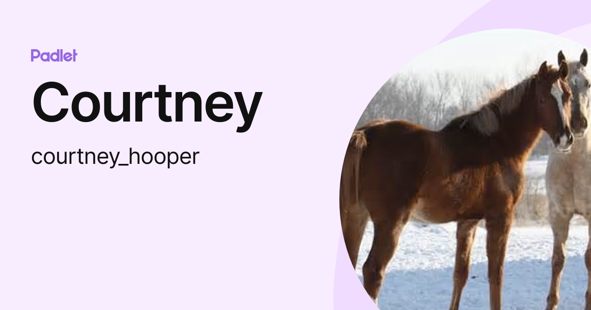 Courtney (courtney_hooper) profile | Padlet